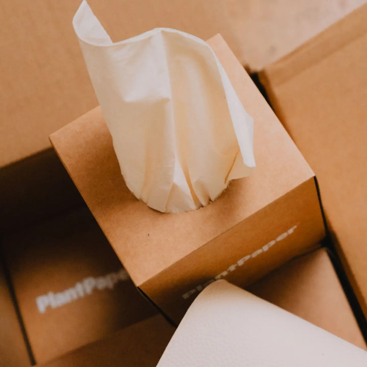 BAMBOO FACIAL TISSUE / UNBLEACHED 3-PLY *CANNOT BE SHIPPED* – Fill Happy