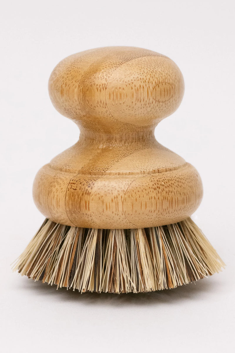 CASA AGAVE® POT SCRUBBER – Fill Happy